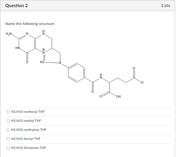 Solved Question 2 2 pts Name the following structure: HN HN | Chegg.com