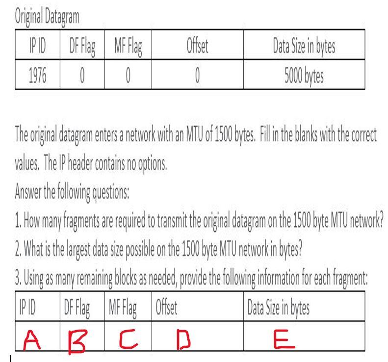 Solved Original Datagram IPID DF Flag MF Flag 1976 0 0 | Chegg.com