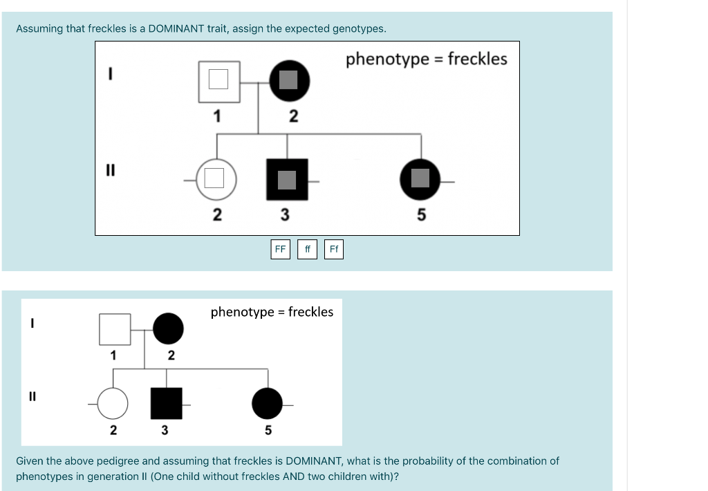 Solved Assuming that freckles is a DOMINANT trait, assign | Chegg.com