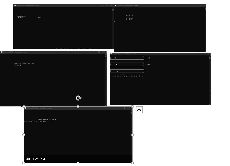 Solved make program in C . language GUIDE TO TURTLE RACING | Chegg.com