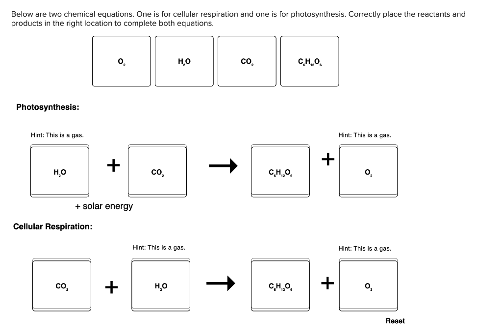 Solved Below are two chemical equations. One is for cellular | Chegg.com
