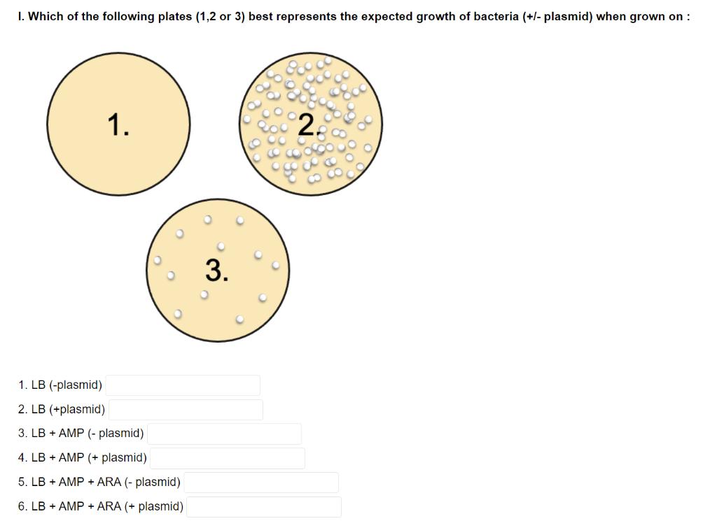 I. Which of the following plates (1,2 or 3) best | Chegg.com