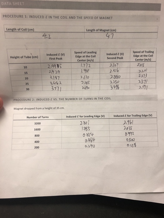 Solved DATA SHEET PROCEDURE 1: INDUCED & IN THE COIL AND THE | Chegg.com