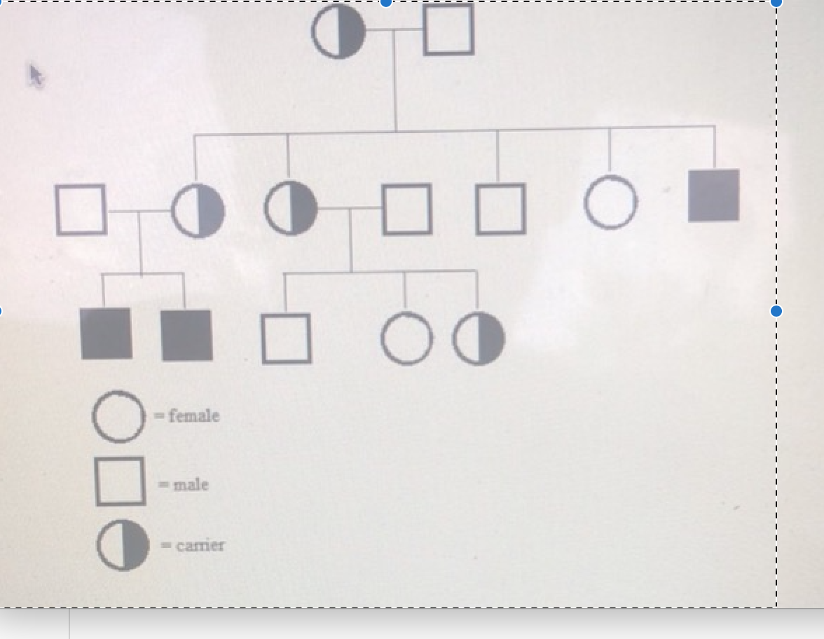 Solved What is the inheritance pattern of the trait shown in | Chegg.com