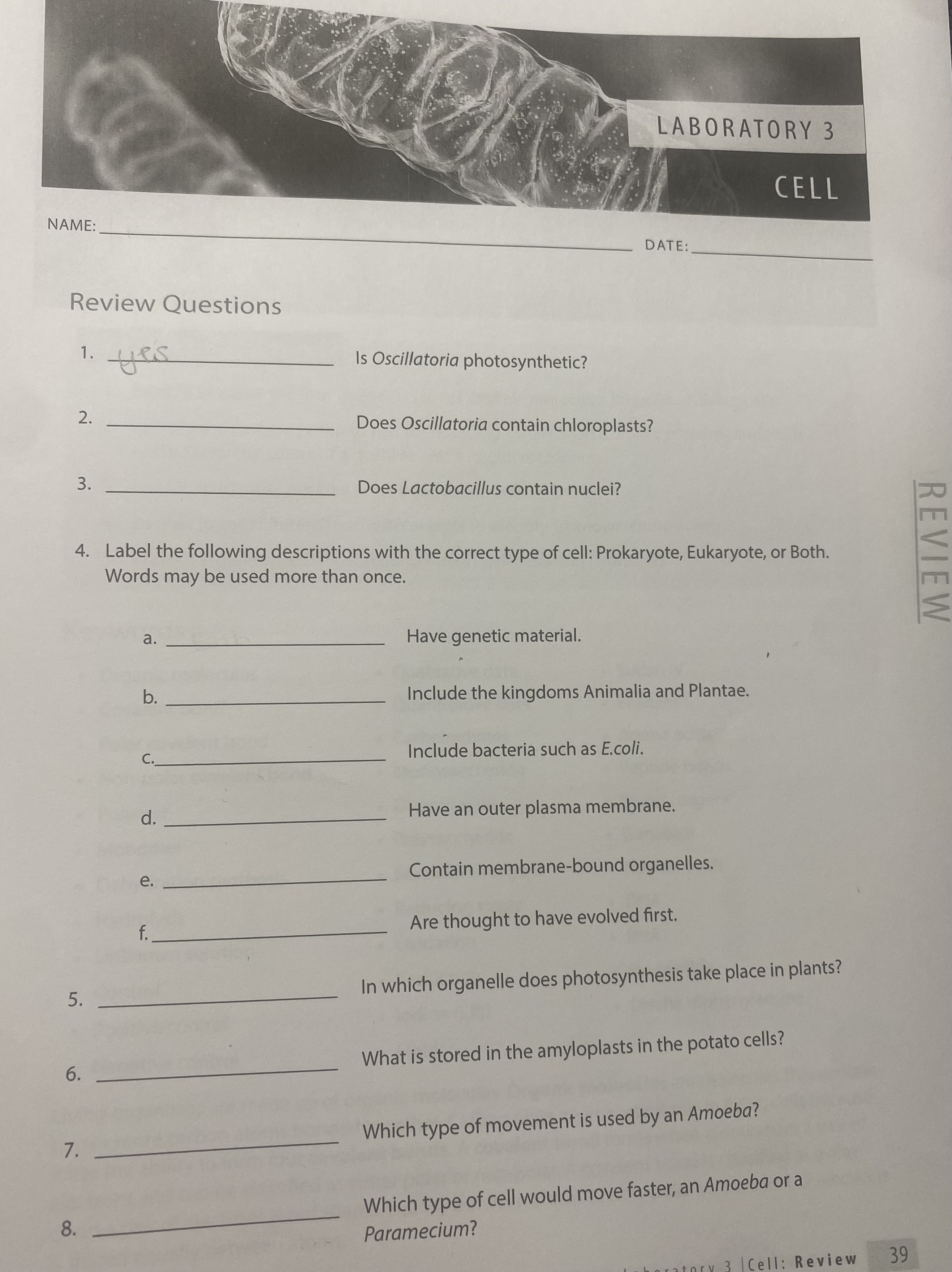 Solved Review Questions 1. URS Is Oscillatoria | Chegg.com Solved Review Questions 1. URS Is Oscillatoria | Chegg.com