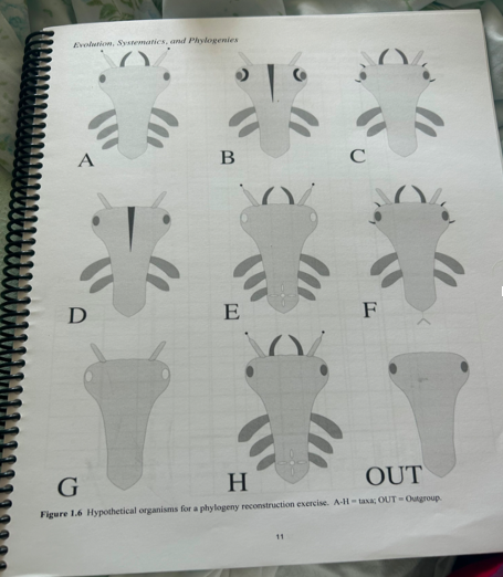 Solved HYPOTHETICAL ORGANISMS: Study Figure 1.6, which | Chegg.com