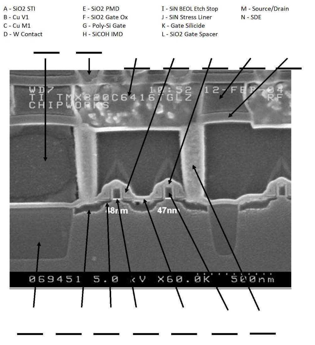 Solved Label the SEM diagram | Chegg.com