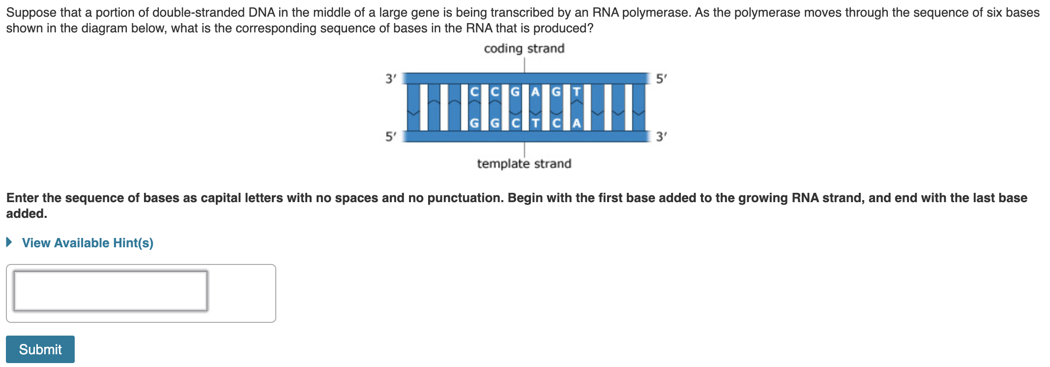 Suppose that a portion of double-stranded DNA in the | Chegg.com