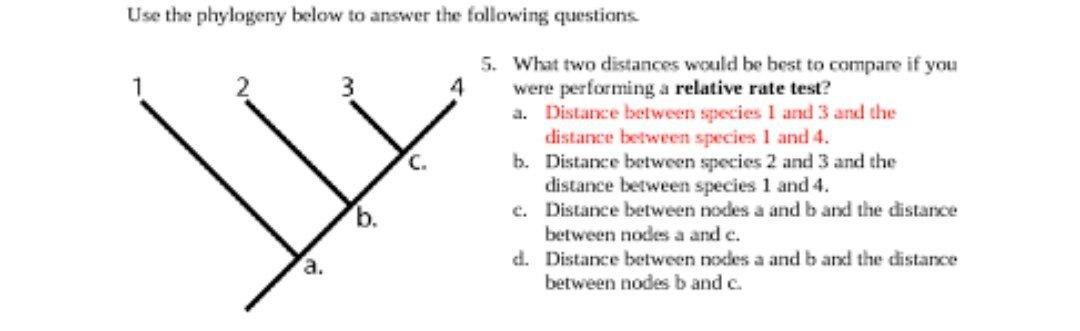 Solved Use the phylogeny below to answer the following | Chegg.com