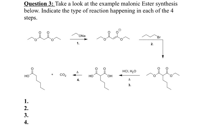 Solved Question 3:Take a look at the example malonic Ester | Chegg.com