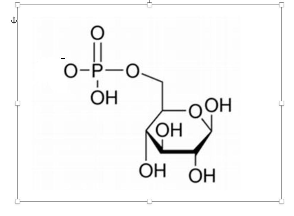 Solved Consider the following reaction: Glucose + ATP | Chegg.com