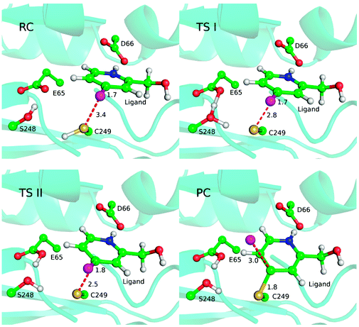 Solved Illustration of the structures of reactant complex | Chegg.com