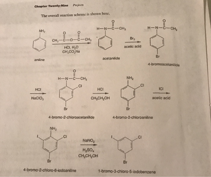 Solved Part B. Miniscalc Synthesis of 4-Bromoacetanilide | Chegg.com