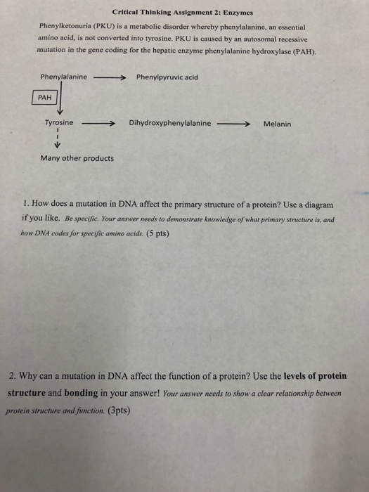 Solved Critical Thinking Assignment 2: Enzymes | Chegg.com