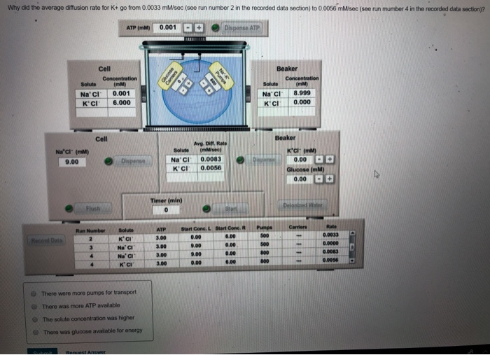 Why did the average diffusion rate for K+ go from | Chegg.com