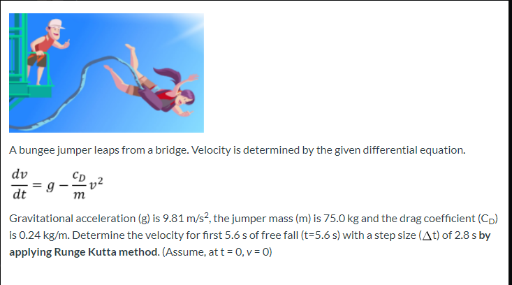 Solved A bungee jumper leaps from a bridge. Velocity is | Chegg.com