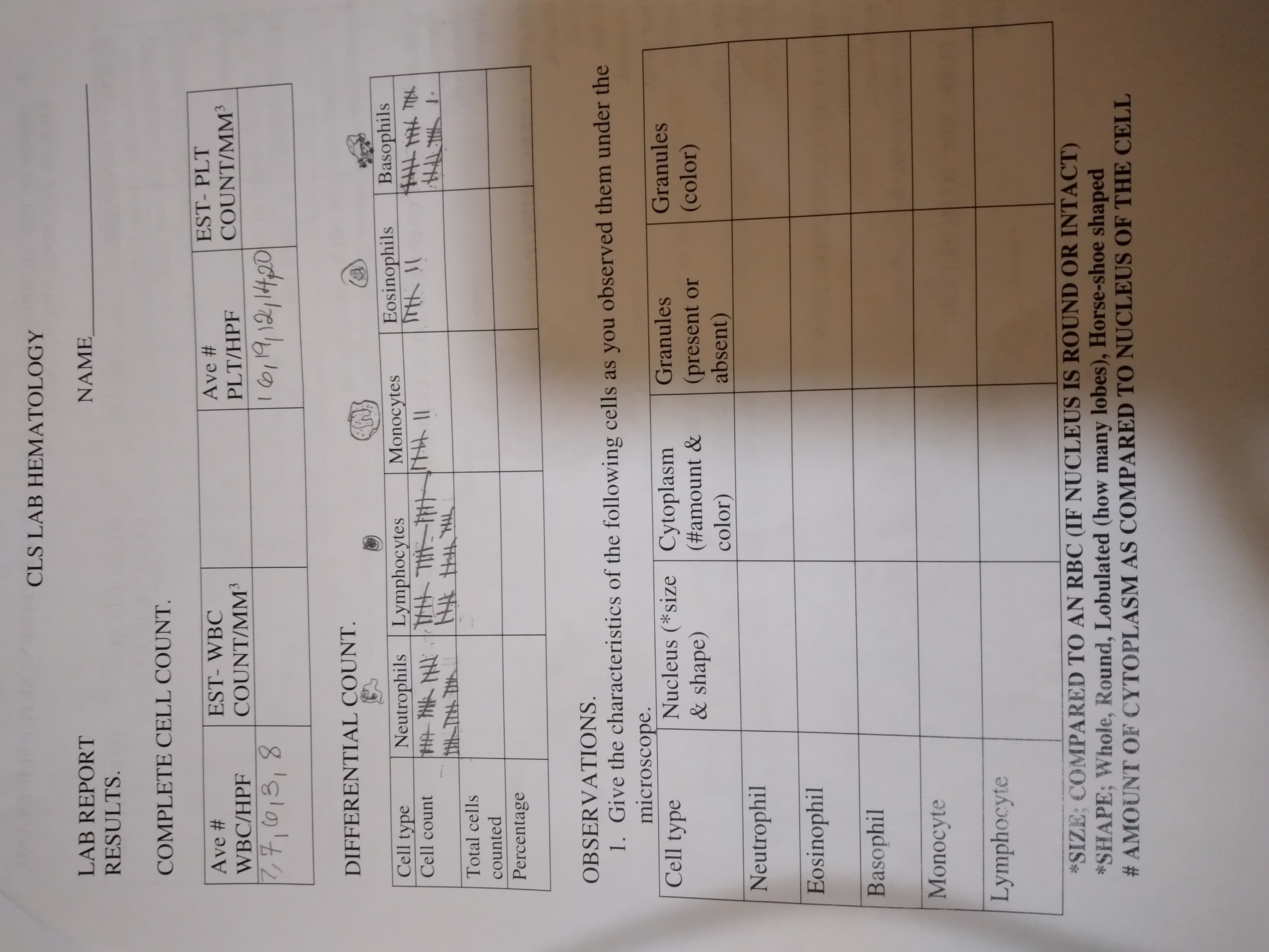 LAB REPORT NAME RESULTS. COMPLETE CELL COUNT. | Chegg.com
