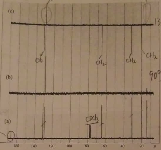 Solved Please label and identify the structure of the | Chegg.com