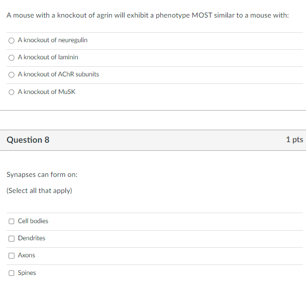 Solved A mouse with a knockout of agrin will exhibit a | Chegg.com