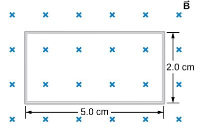 Solved The accompanying figure shows a single-turn | Chegg.com
