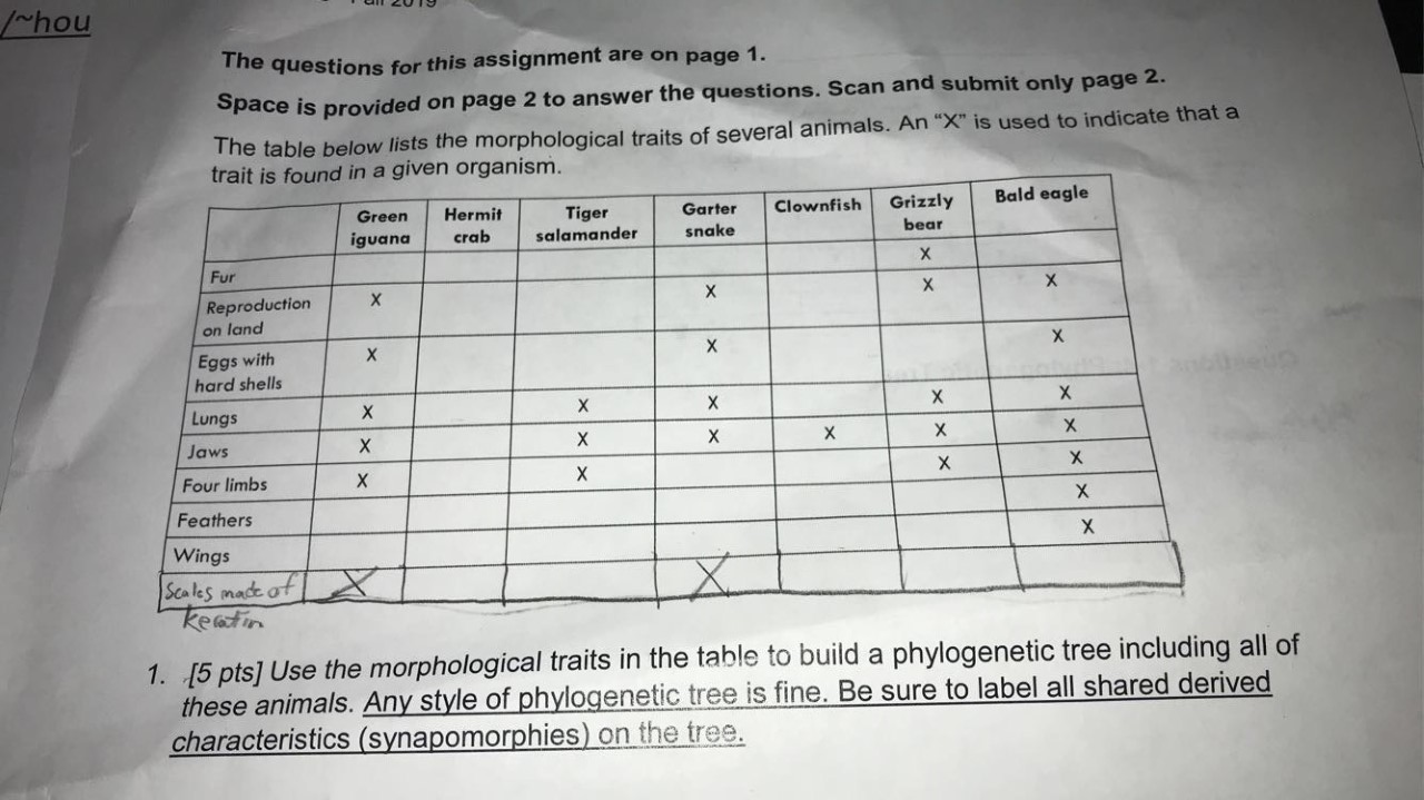 Solved The Table below lists the morphological traits of | Chegg.com
