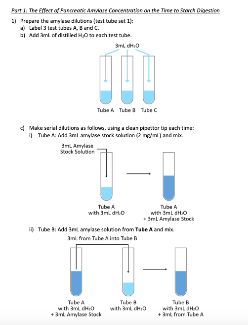 Solved Part 1: The Effect of Pancreatic Amylase | Chegg.com