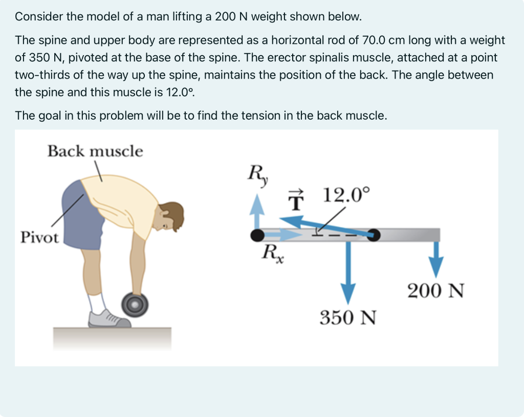 Solved Consider the model of a man lifting a 200 N weight | Chegg.com