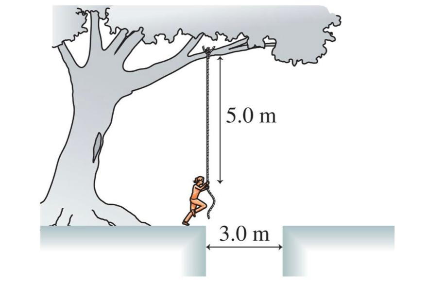Solved The 5.0 m long rope hangs vertically from a tree | Chegg.com
