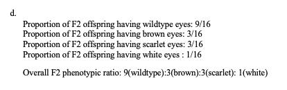 5. (Ipt) Suppose your white fly line is homozygous | Chegg.com