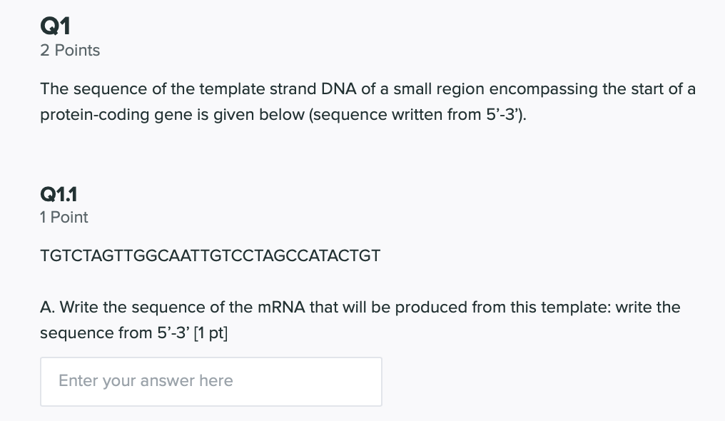 Solved Q1 2 Points The sequence of the template strand DNA | Chegg.com