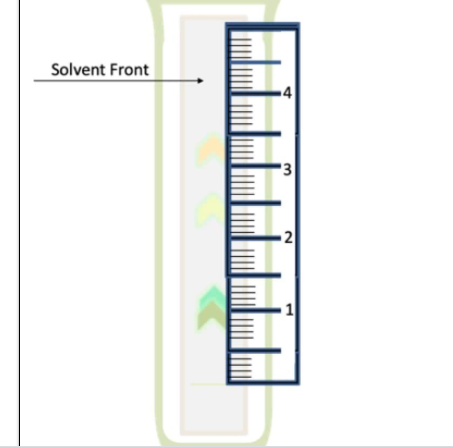 Solved 11. What is the distance traveled by the | Chegg.com