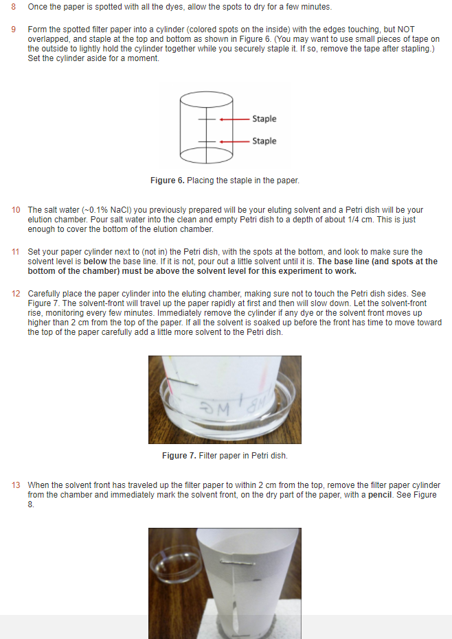 Procedure 1 Gather 1 piece of square filter paper, | Chegg.com