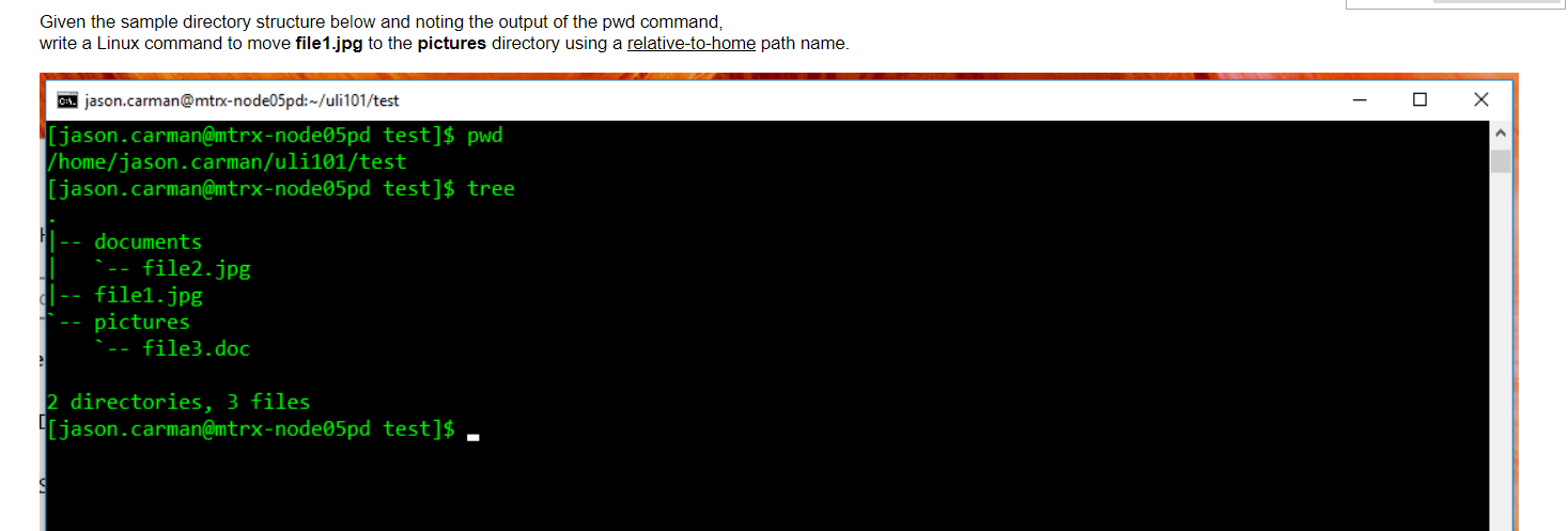 Solved Given the sample directory structure below and noting | Chegg.com