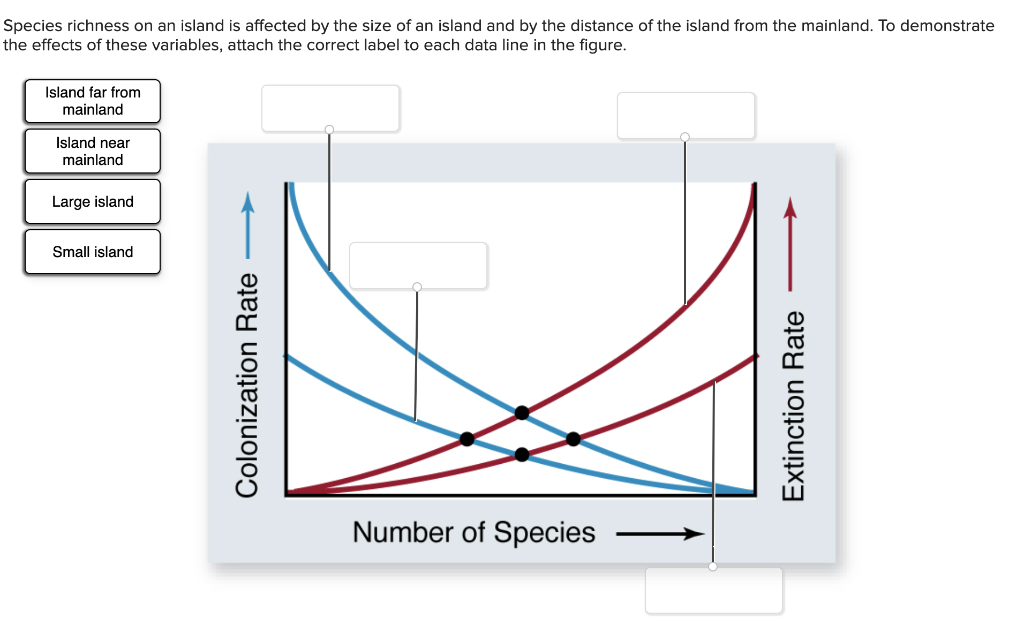 Solved Species richness on an island is affected by the size | Chegg.com