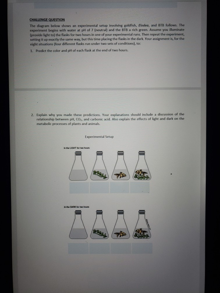 Solved CHALLENGE QUESTION The diagram below shows an | Chegg.com