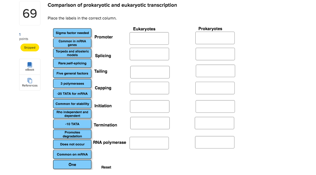 Solved Comparison of prokaryotic and eukaryotic | Chegg.com