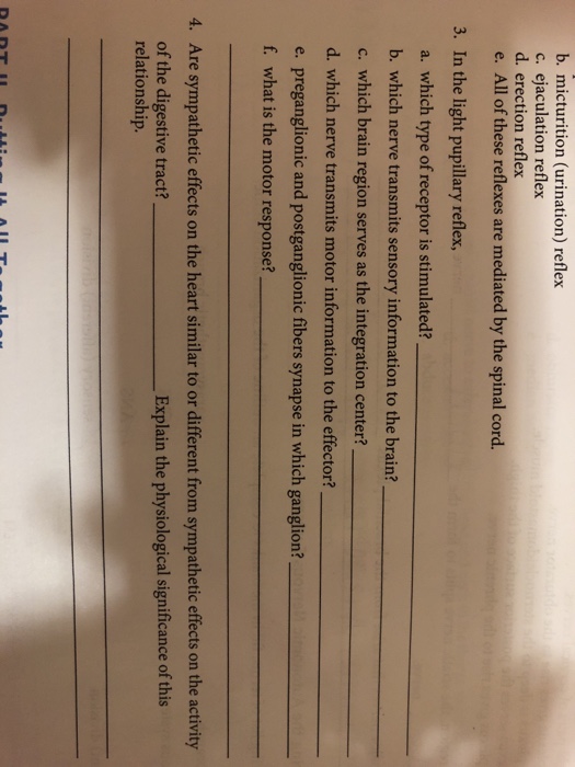 Solved b. micturition (urination) reflex c. ejaculation | Chegg.com