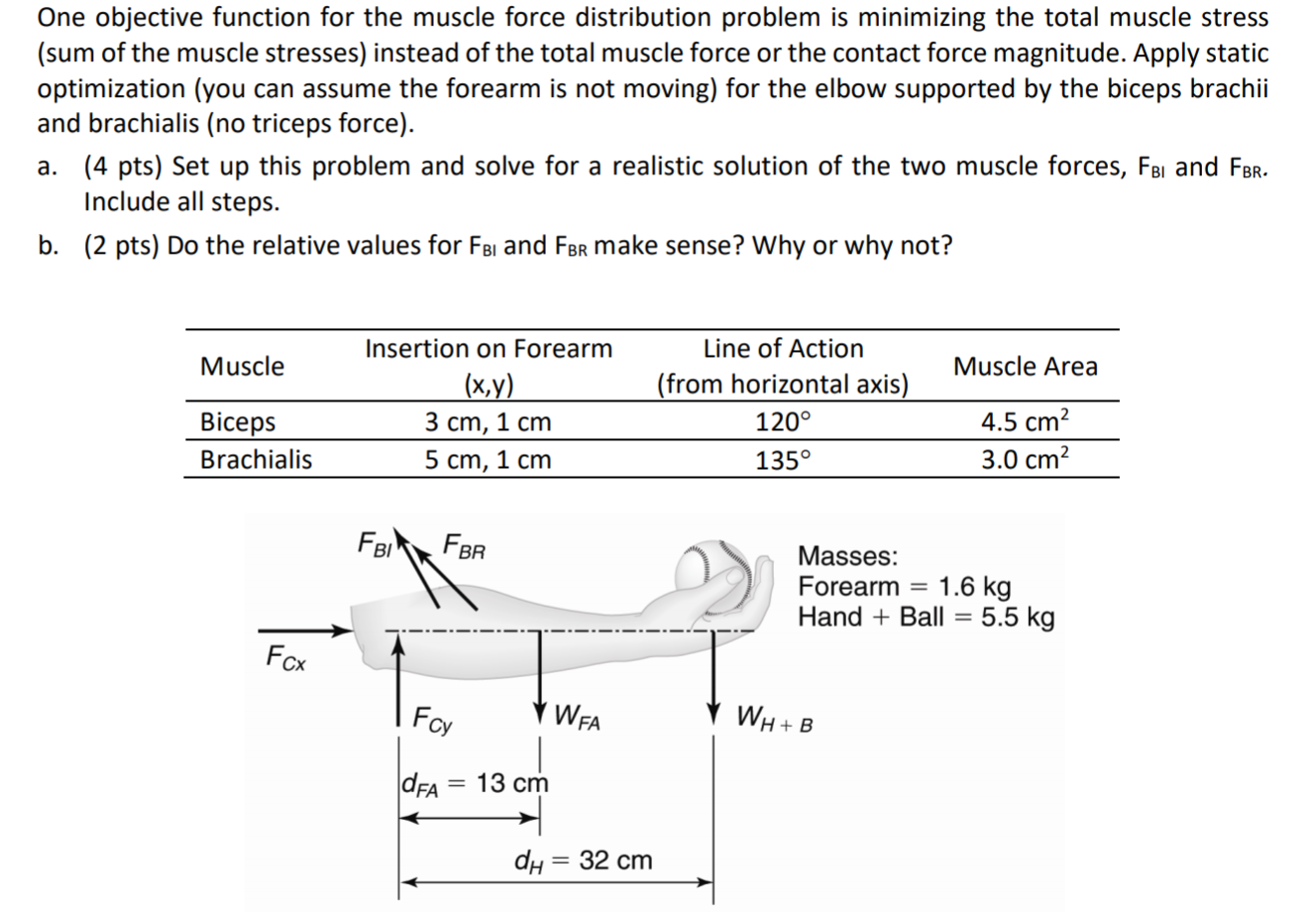 One objective function for the muscle force | Chegg.com