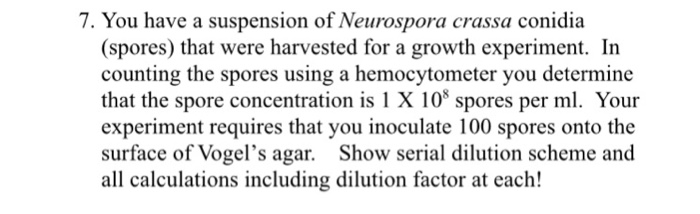 Solved 7. You have a suspension of Neurospora crassa conidia | Chegg.com
