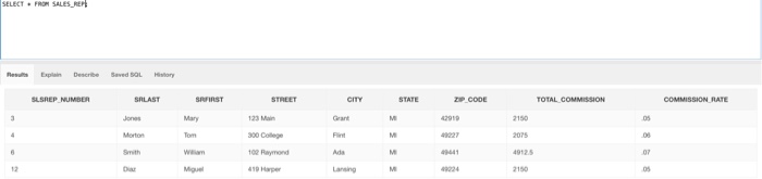 Solved Write SQL codes for these requirements based off of | Chegg.com