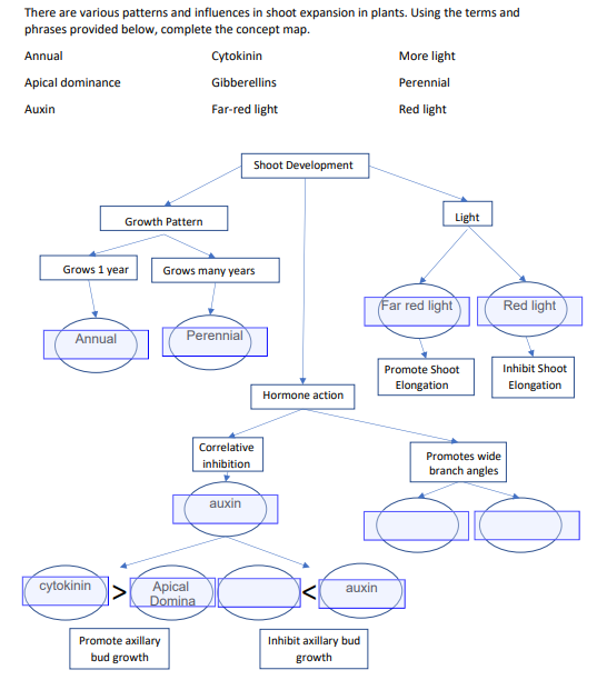 Solved There are various patterns and influences in shoot | Chegg.com