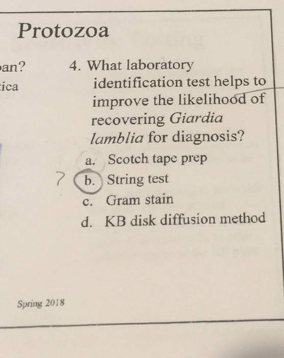 Solved Protozoa 2 4. What laboratory identification test | Chegg.com