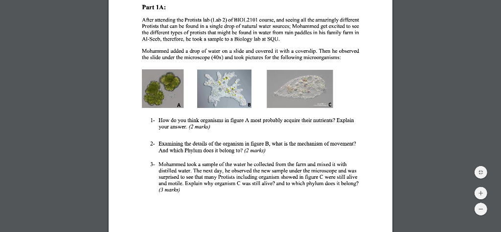 Part 1A: After attending the Protista lab (Lab 2) of | Chegg.com