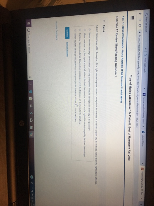 Solved 111251843 Exercise 17 Review Sheet Reading Question1 | Chegg.com