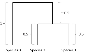 Solved 2. BIODIVERSITY The following tree structure | Chegg.com