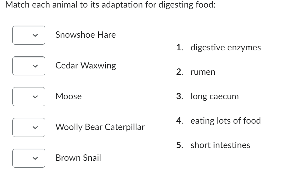 Solved Match each animal to its adaptation for digesting | Chegg.com