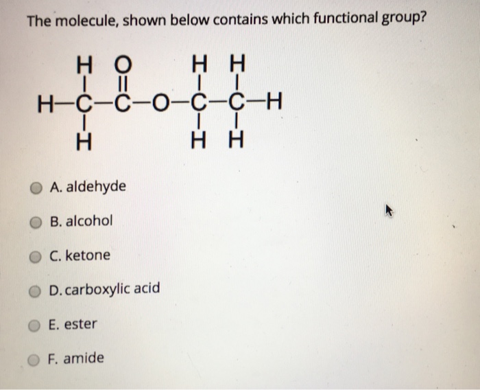 Solved The molecule, shown below contains which functional | Chegg.com