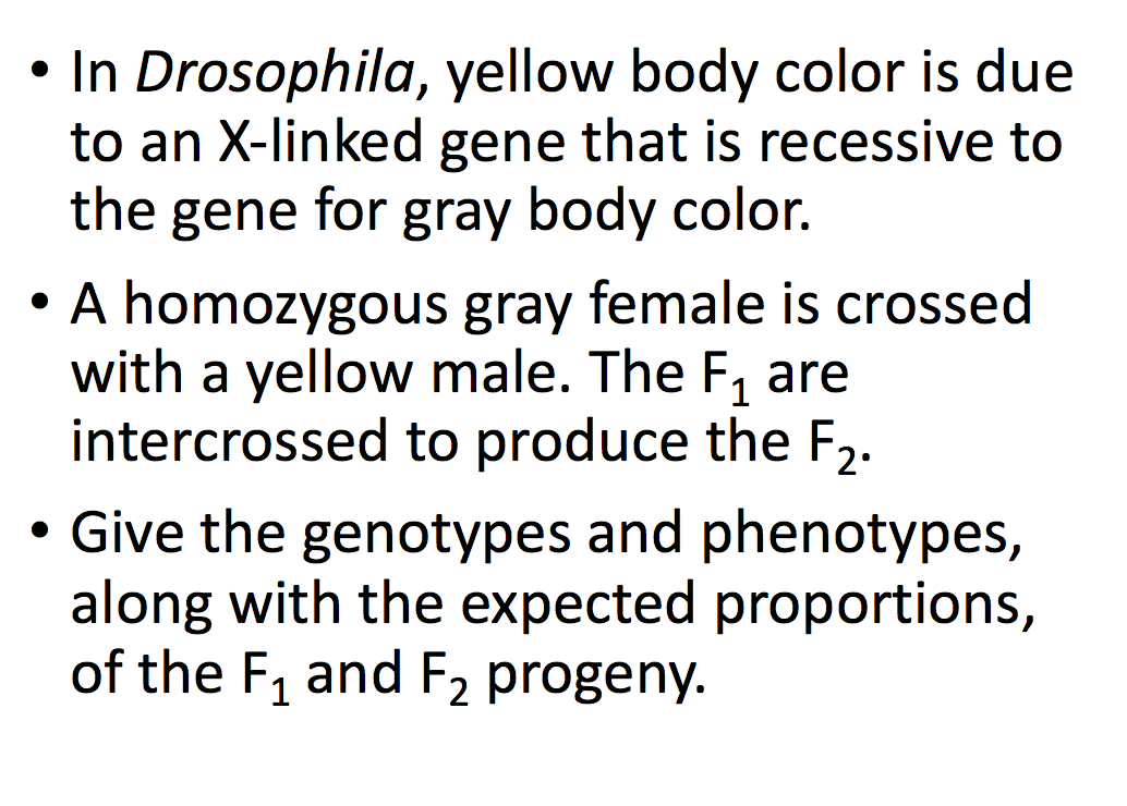 Solved • In Drosophila, yellow body color is due to an | Chegg.com