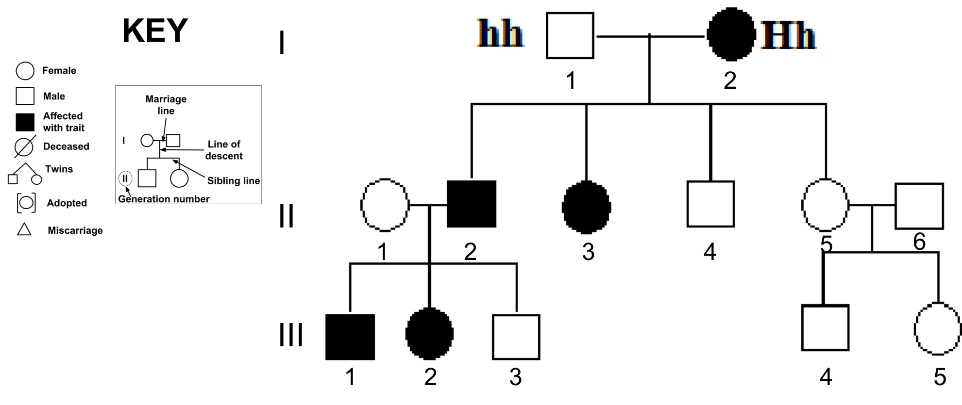 Solved 8) Huntington's disease is a dominantly inherited | Chegg.com