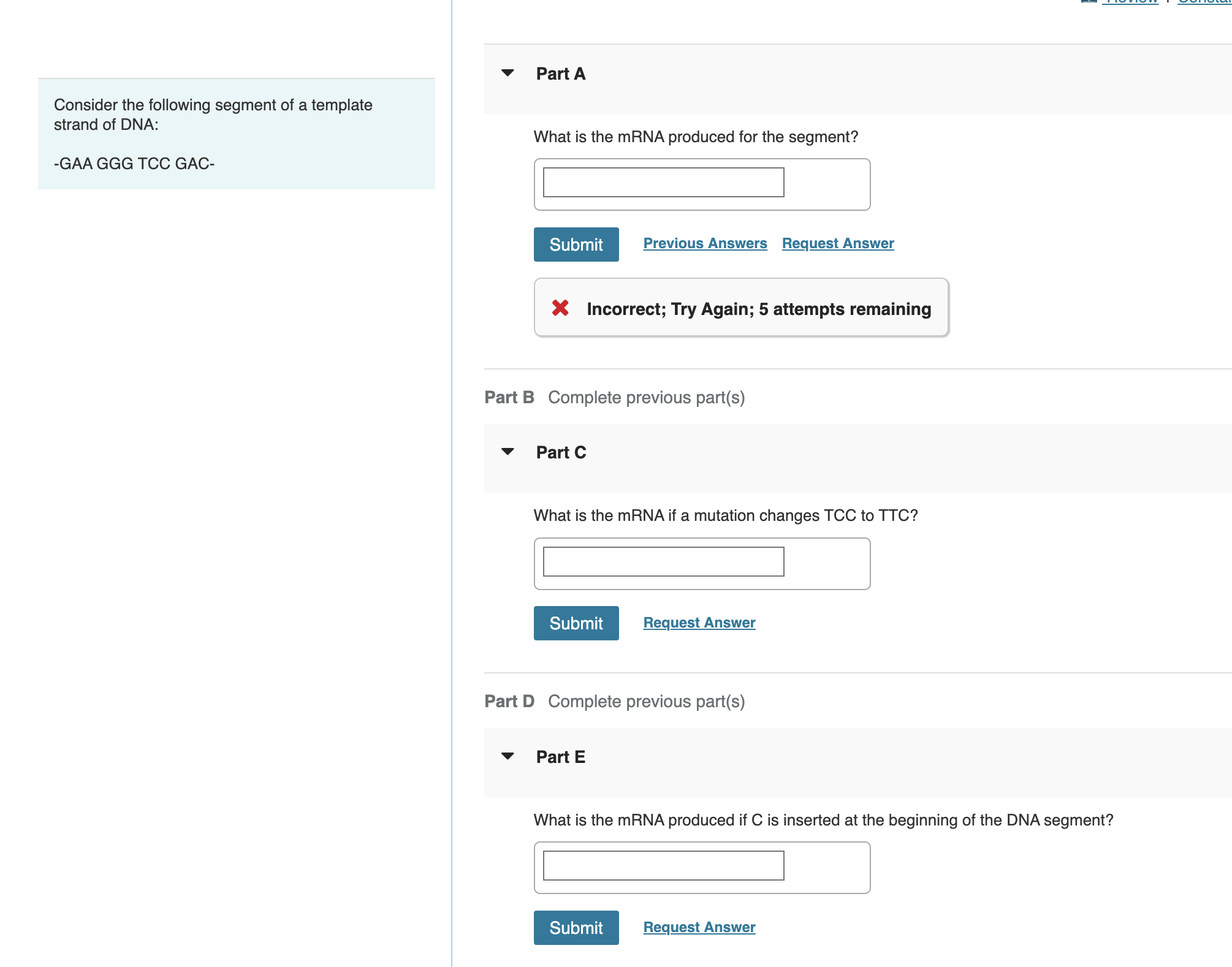 Solved Consider the following segment of a templatestrand of | Chegg.com